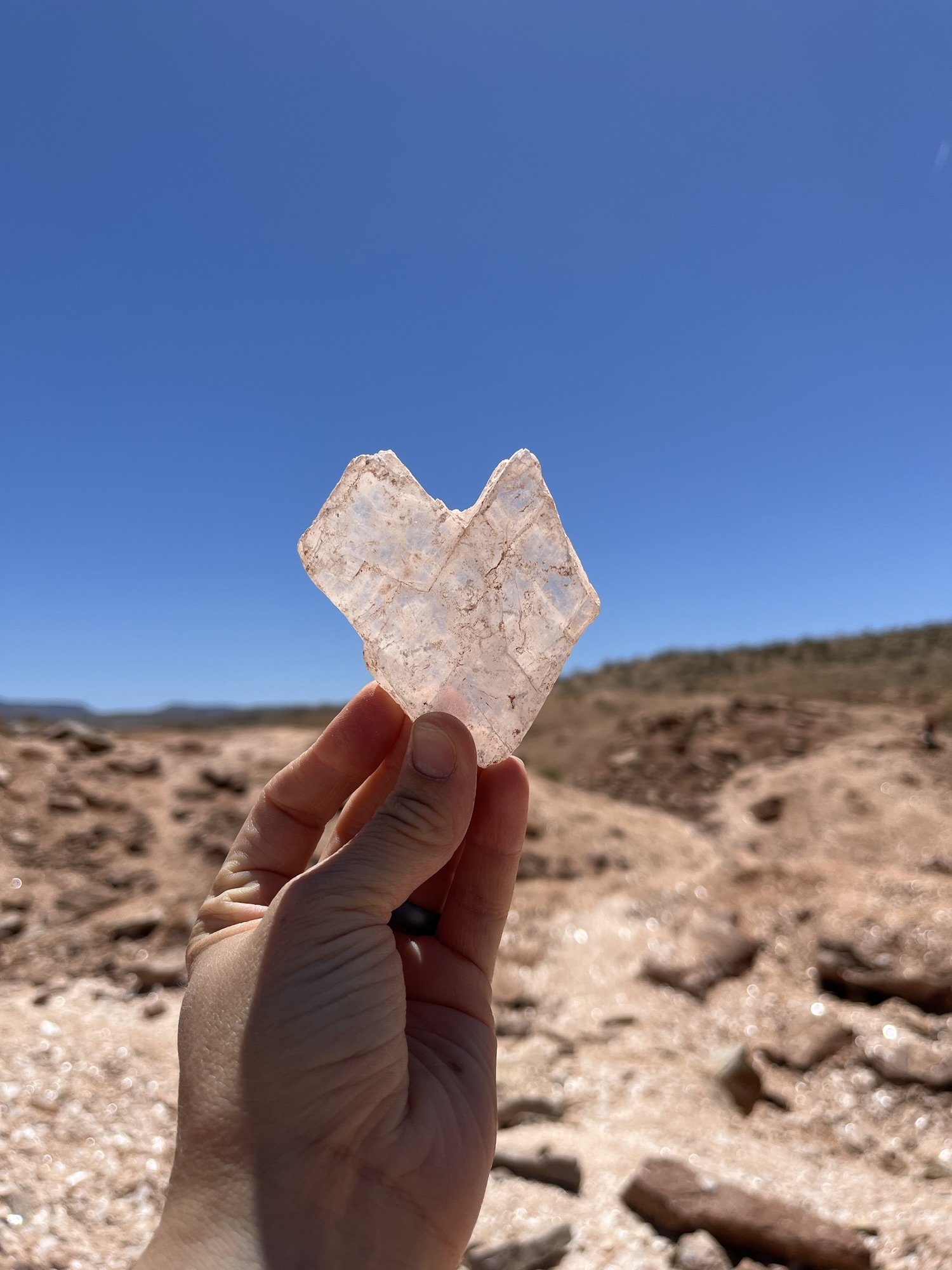 Other - St. George For Kids